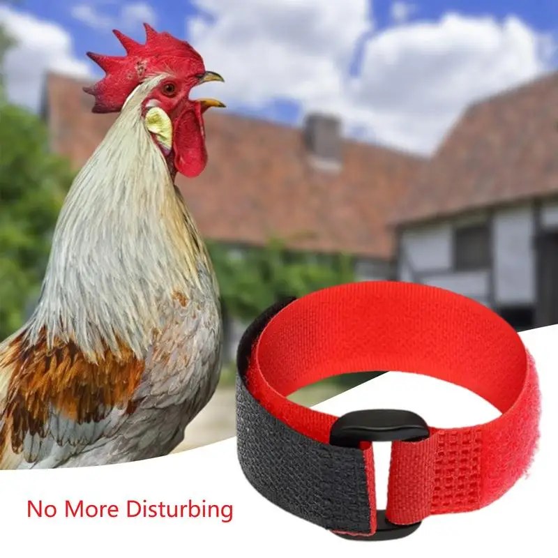 4pcs-Crow-Rooster-Collar-Hen-Collar-Noise-Free-Anti-Hook-Neckband-Collars-Pet-Supplies-Collar-No.jpg