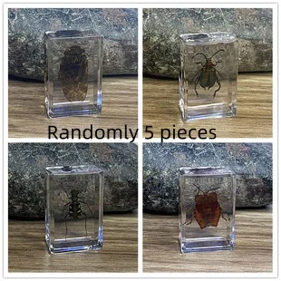 Store Home Products ChoiceDay Feedback