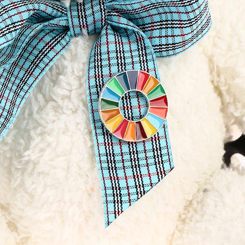 Enamal-17-Colors-Sustainable-Development-Goals-Brooch-United-Nations ...