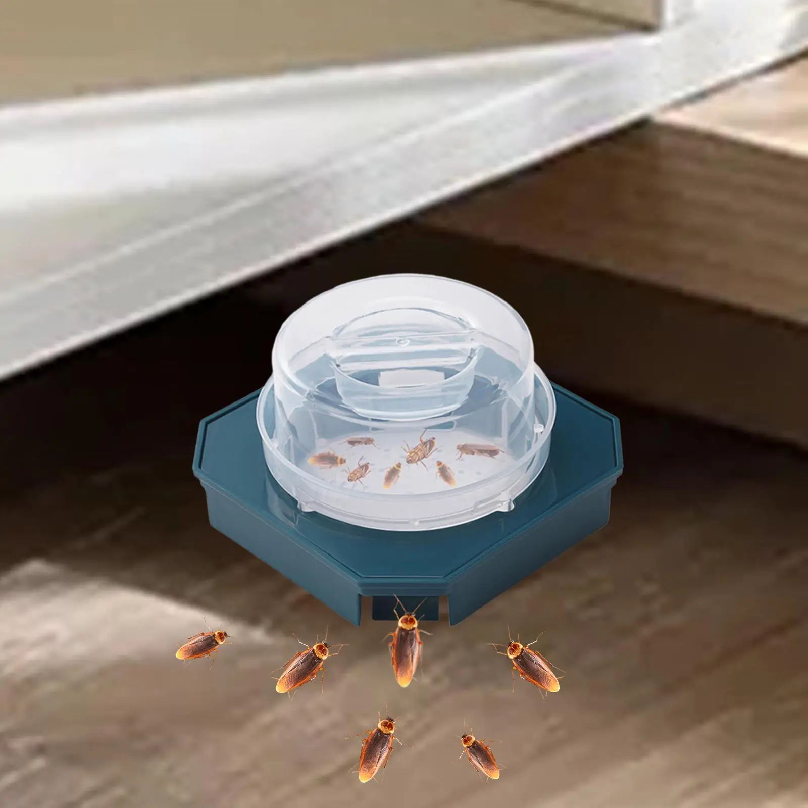 Box-Roach-Trap-Box-for-Indoor-Apartment-Farmhouse.jpg