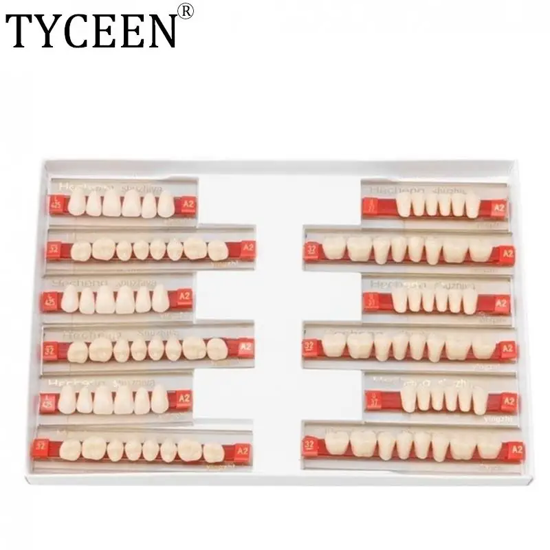 84 pieces/3sets /box Dental Synthetic Polymer Teeth Full Set Resin ...