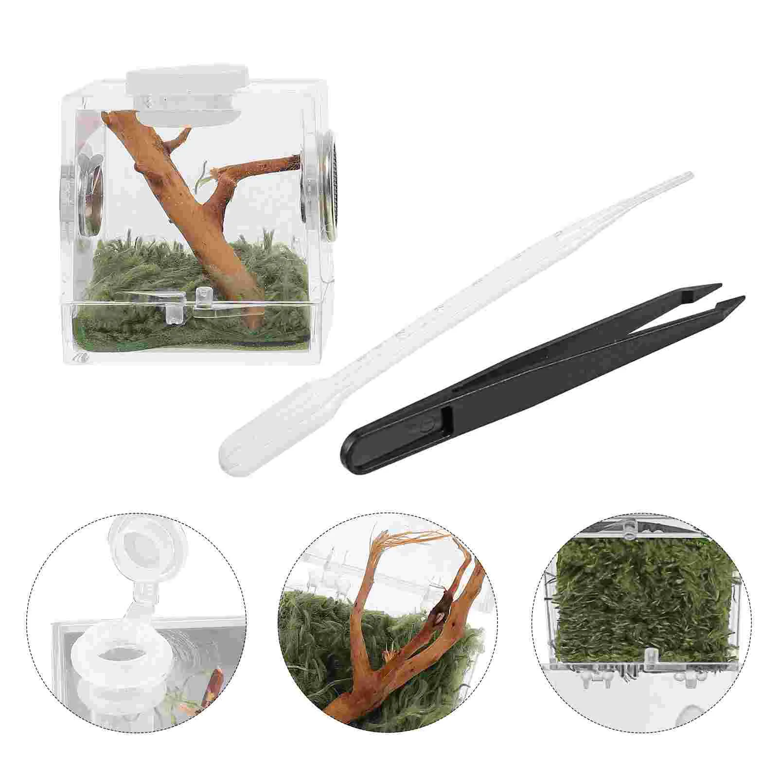 Jumping-Spider-Breeding-Box-Terrariums-for-Reptiles-Aquarium-Case ...