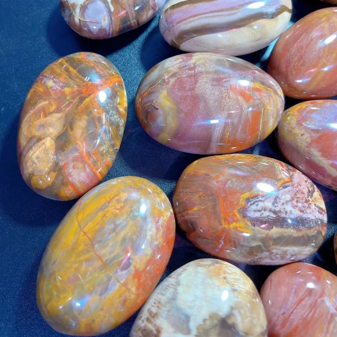Petrified Wood Gem