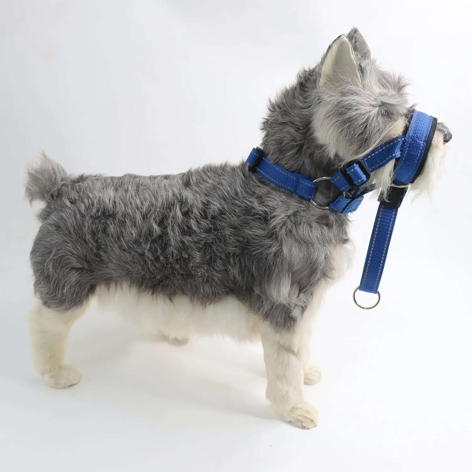 Creative Dog Halter Halti Training Head Collar Gentle Leader Harness ...