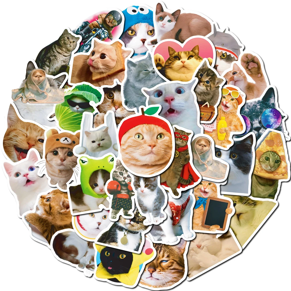 10-30-50PCS-Cute-Cat-Meme-Stickers-Animal-Decals-DIY-Motorcycle-Travel ...