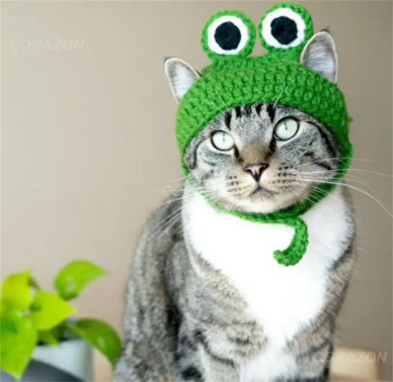 Cats With Frog Hats