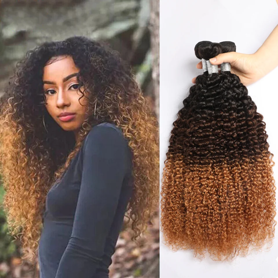 10A-Colored-Kinky-Curly-Hair-Bundles-T1B-4-27-Jerry-Curly-Human-Hair ...