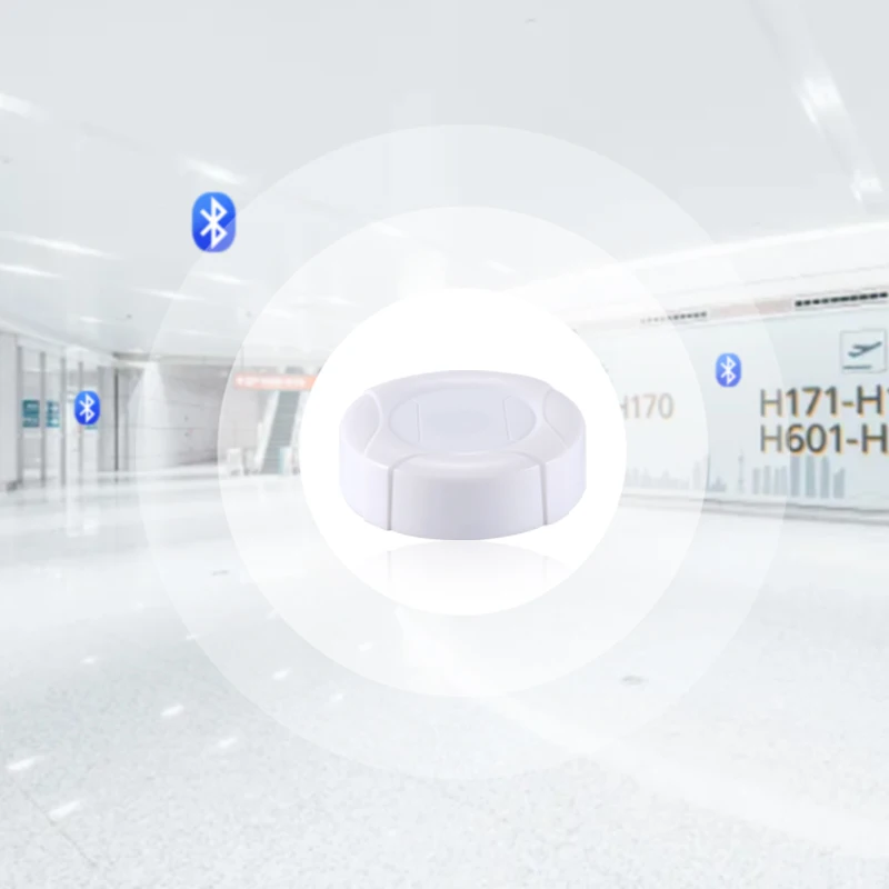 DX-SMART-Bluetooth-Beacon-Tag-Eddystone-Ibeacon-BLE-5-1-Proximity-Locator-Beacon-Automation ...
