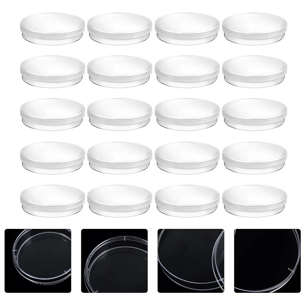 20-Pcs-Petri-Dish-Culture-Yeast-Durable-Terrarium-Glass-Containers ...