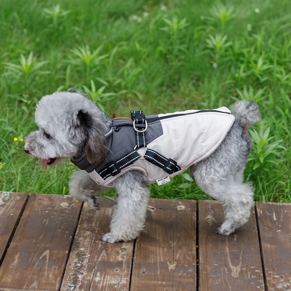 Chaqueta-con-arn-s-para-perro-ropa-c-lida-e-impermeable-a-prueba-de ...