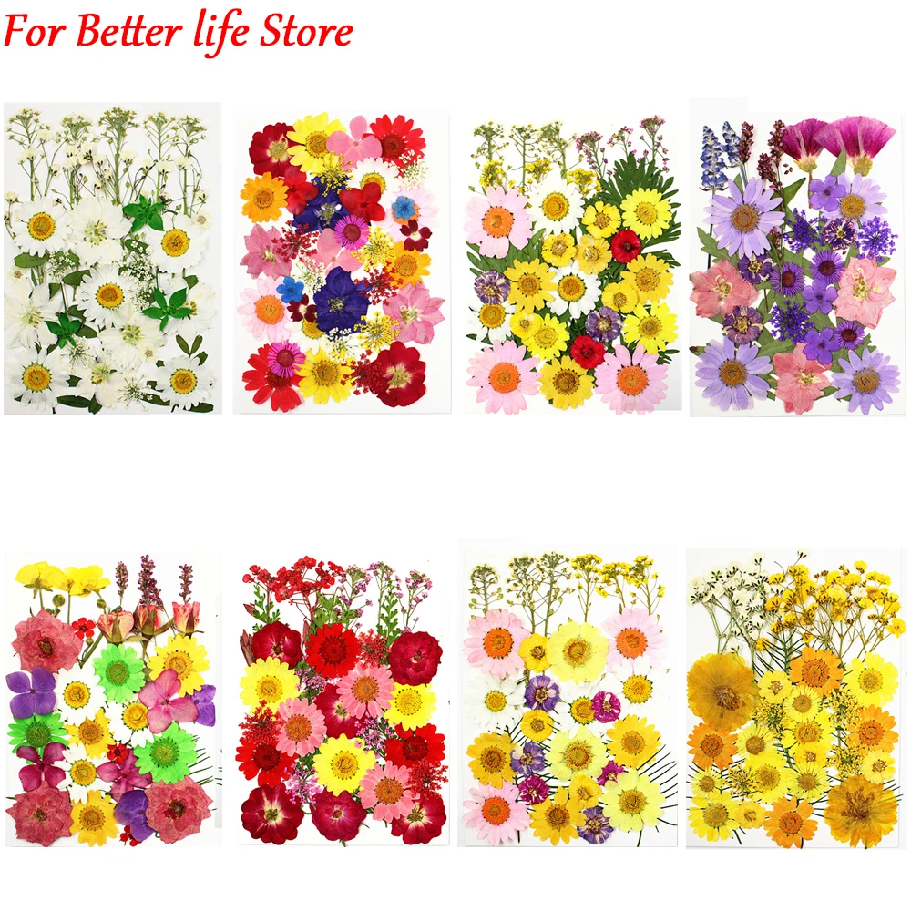 S47a138be4cd74a038718aac6d01ed262e.jpg
