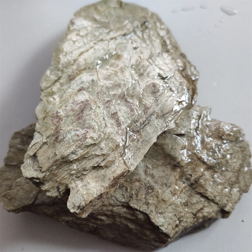 Metamorphic Rock Phyllite