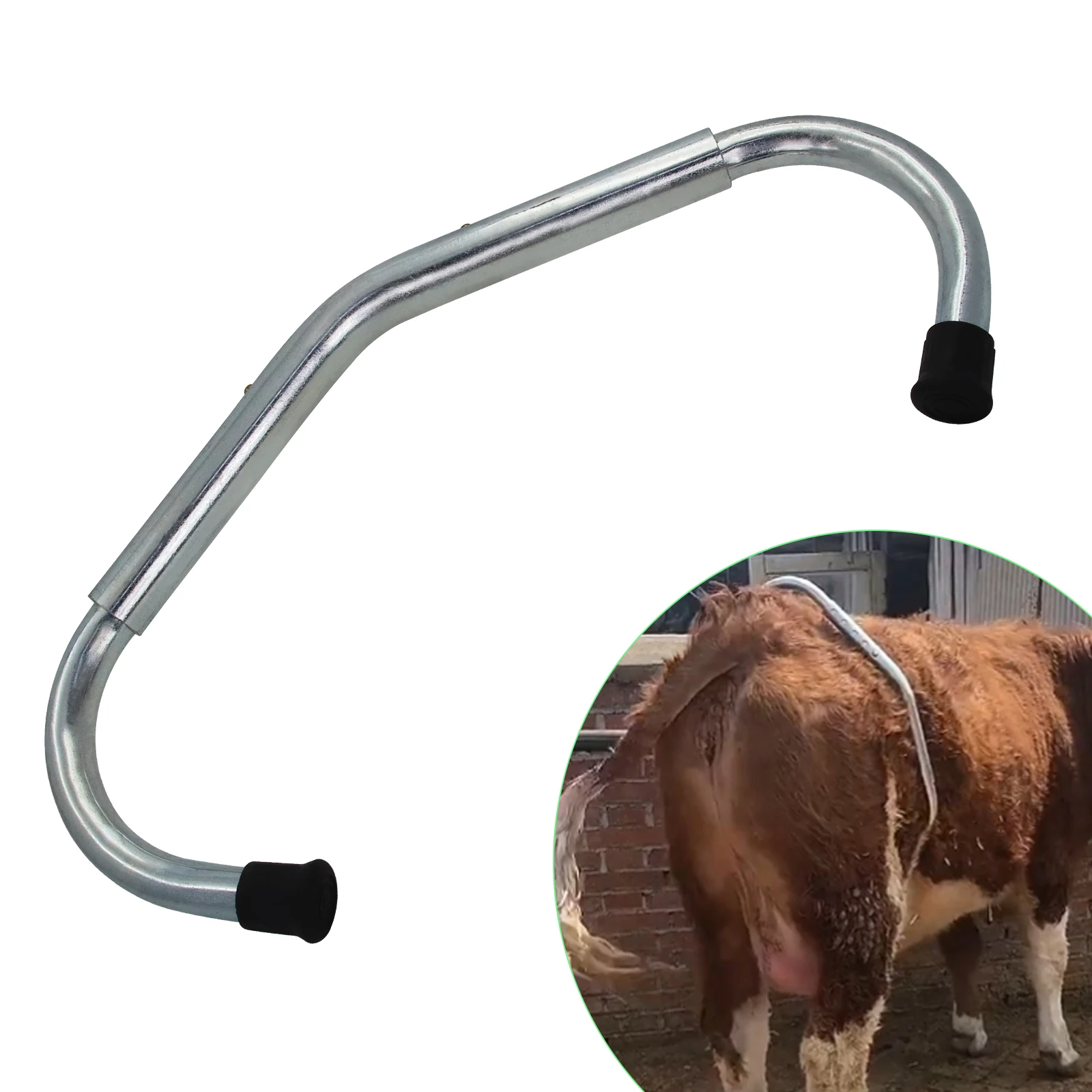Cattle Anti-kicking Stick Stainless Steel Cow Anti-kick Clip Cattle ...
