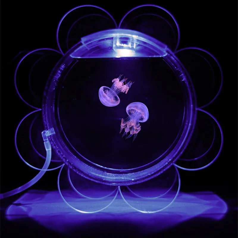 Desktop Jellyfish Tank