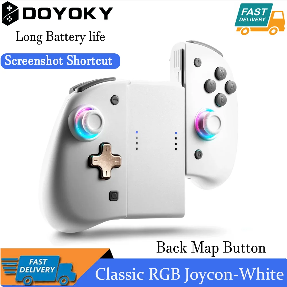 DOYOKY-2023-Edition-Classic-RGB-Joycon-for-Nintendo-Switch-OLED ...