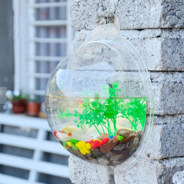 Hanging Wall Fish Tank