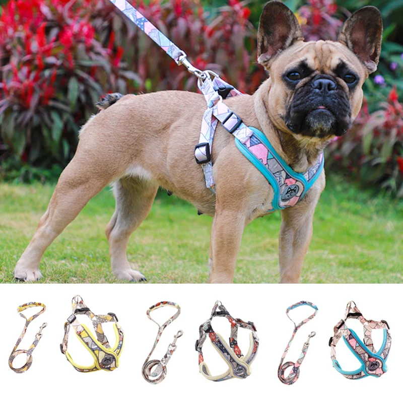 Puppy Dog Products X-Shaped Harness and Leash Set for Small Dogs ...