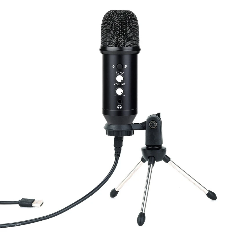 BM900-Condenser-Microphone-Portable-Live-K-Song-Computer-Game-With ...