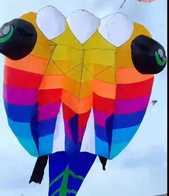 Soft-kite-multi-color-fabric-splicing-skate-pendant-kite-kites-for ...