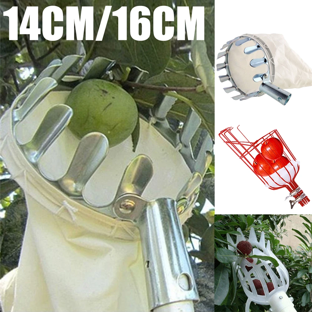 Fruit-Picker-Gardening-Apple-Peach-High-Tree-Picking-Tools-Greenhouse ...