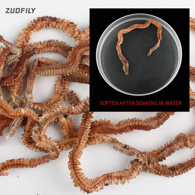 2022-NEW-Dry-Freshwater-Fishing-Worm-Bait-True-Worm-Dry-Worm-Bait-Sea ...