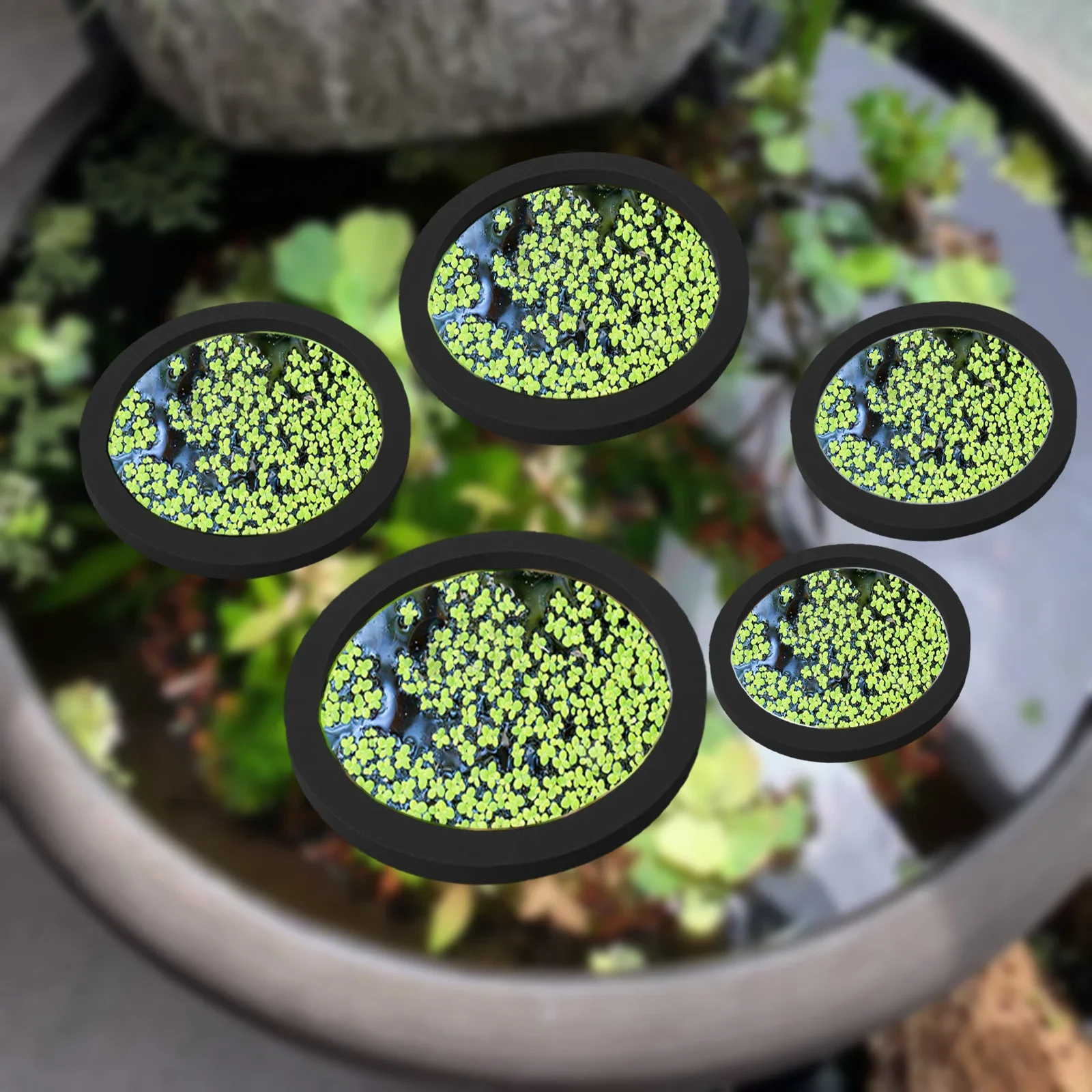 5Pcs EVA Fish Feeding Ring Aquarium Floating Plant Corral Fish Tank ...