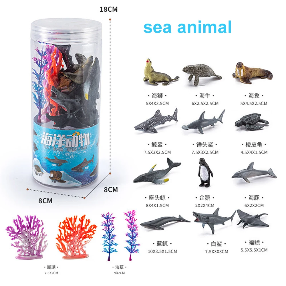 Small Sea Animals