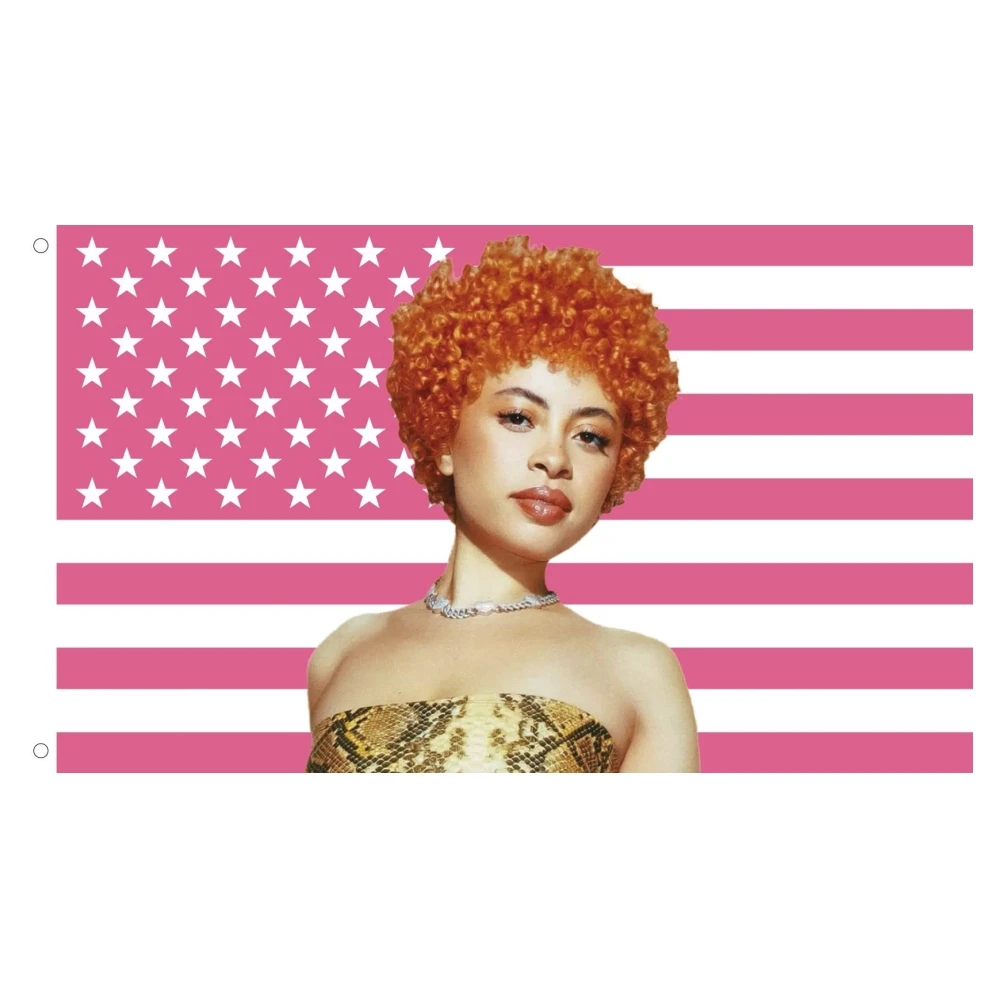Rapper Ice Spice Pink USA Flag Outdoor Indoor Ice Spice Poster American ...