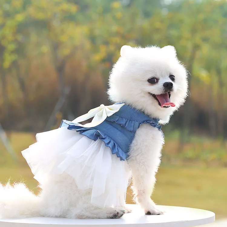 Sweet Princess Dress For Cute Dogs – DogMega.Com