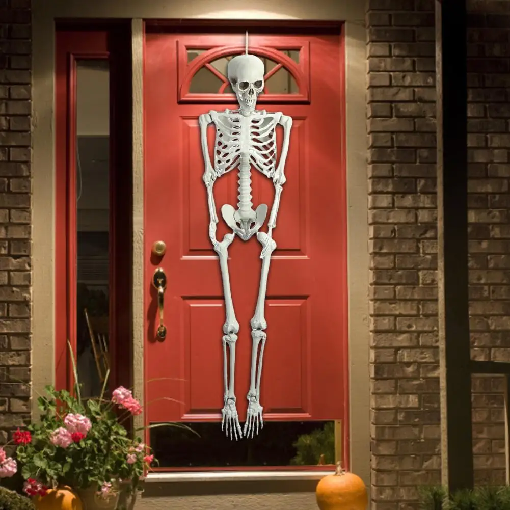 5.4FT Poseable Skeleton Prop Life Size Plastic Halloween Human Bones ...