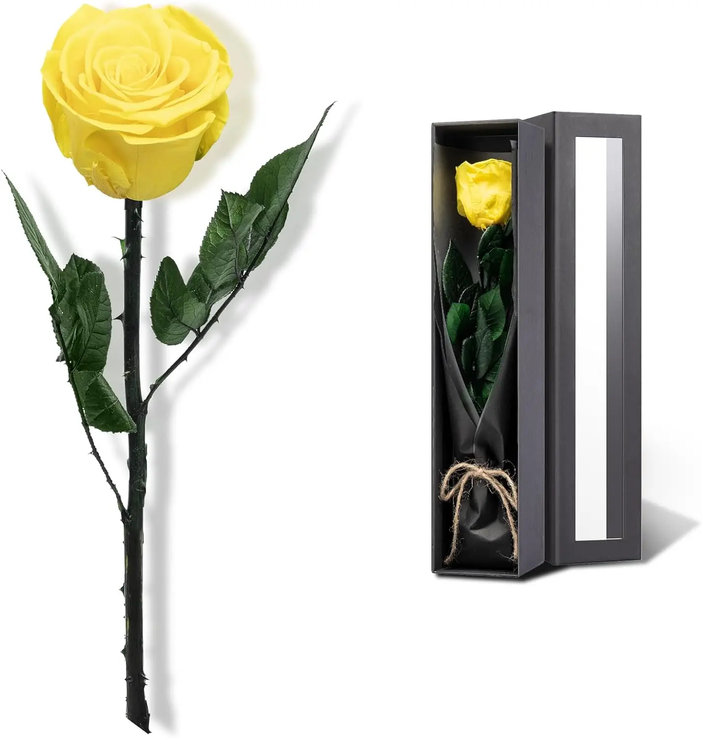 Preserved-Real-Rose-with-Branch-Natural-Long-Last-Flower-Single-Rose ...