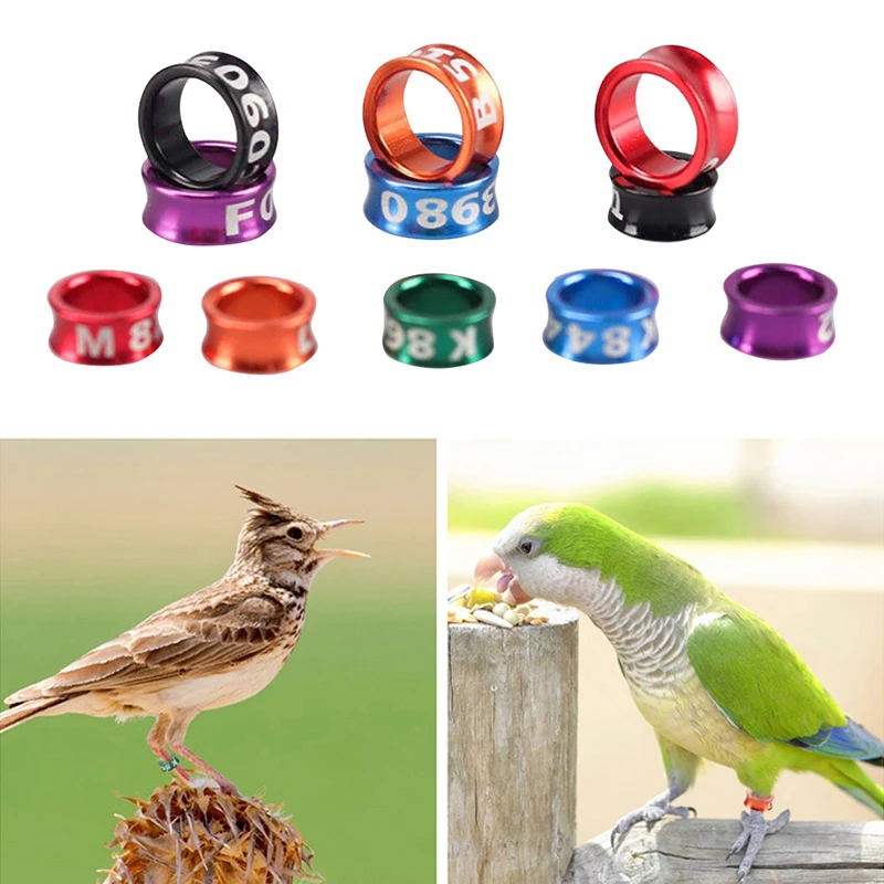 10pcs-Aluminum-Bird-Parrot-Foot-Ring-Pigeons-Foot-Ring-With-Numbered ...