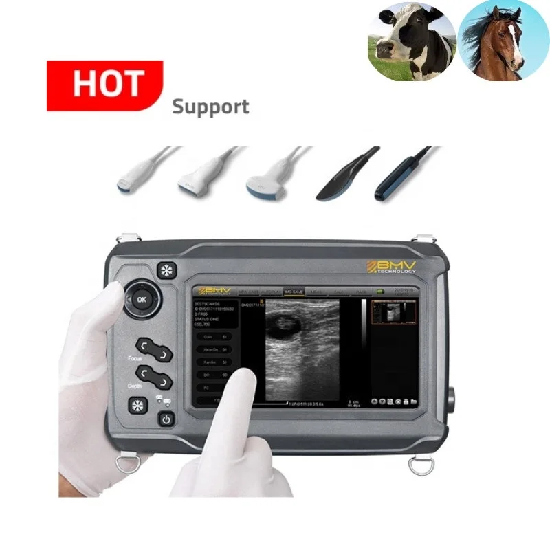 7-inches-Touch-Screen-Handheld-Palm-Veterinary-Utrasound-Scanner-S6 ...
