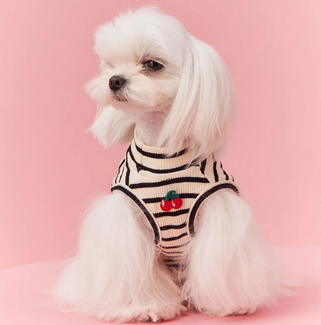 Spring-Summer-Vest-for-Pets-Dog-Cat-Puppy-Teddy-Fadou-Bears-Small-Dog ...