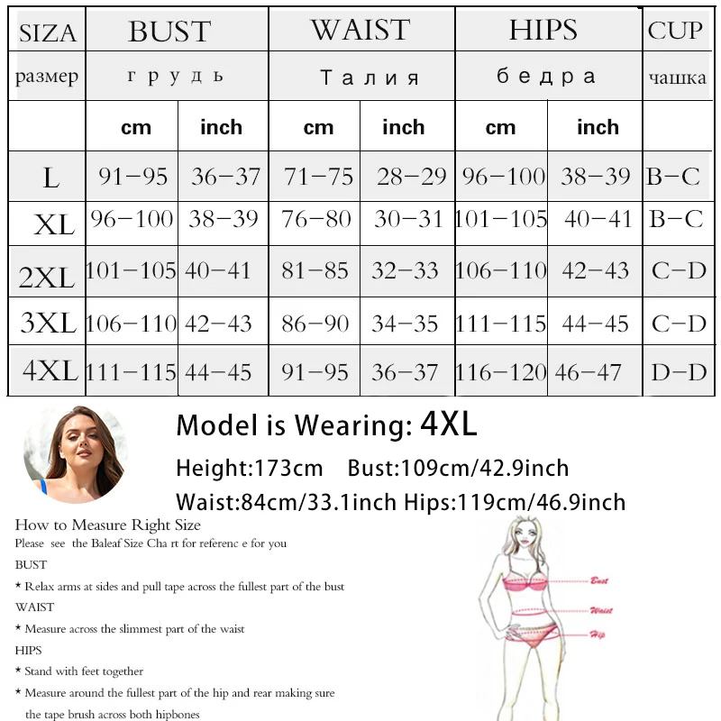 Curvy Models Measuring 42 33 42