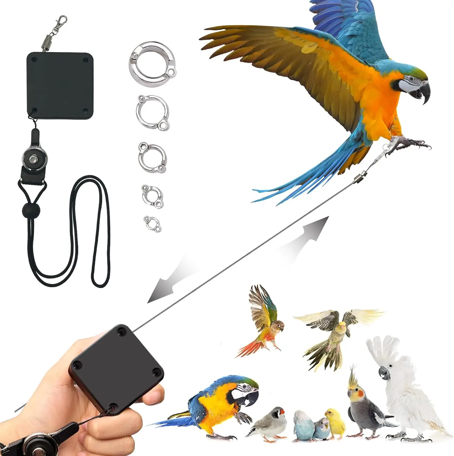Retractable Bird Leash Parrot Flying Rope Anti-Bite Wire Rope Parrot ...