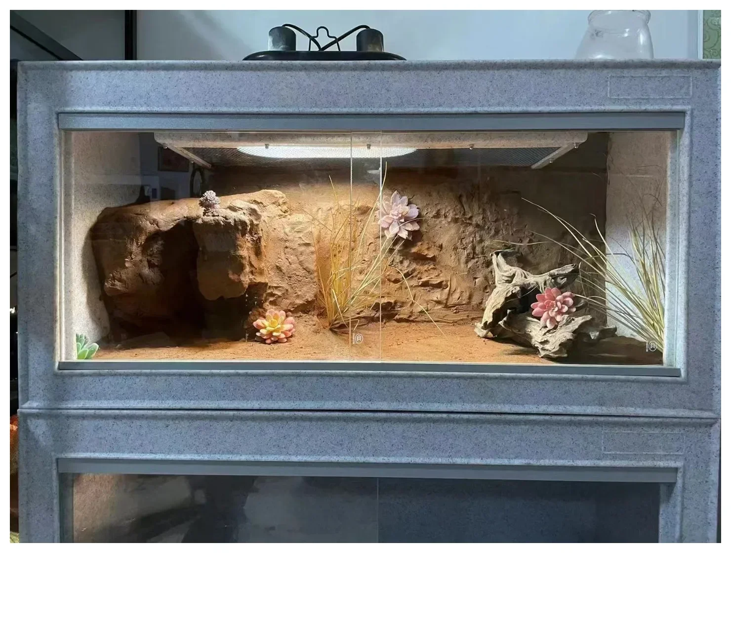 New-PVC-PP-Plastic-Reptile-Feeding-Box-for-Tortoises-Lizard-Snake ...