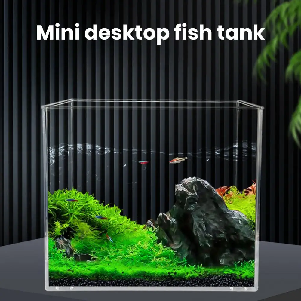 Fish-Tank-Simple-Design-Smooth-Edges-Small-Aquarium-High-Transparency ...
