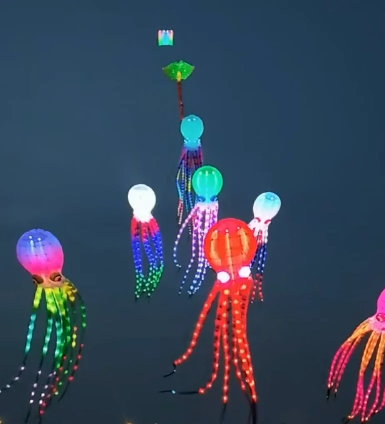 20m Luminous octopus soft kite giant fly floatant Koi carp popit giant ...