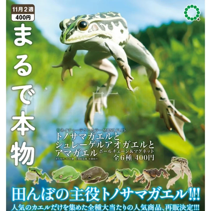Original-KITAN-CLUB-Gashapon-Frog-Qversion-Mini-Anime-Animal-Action ...