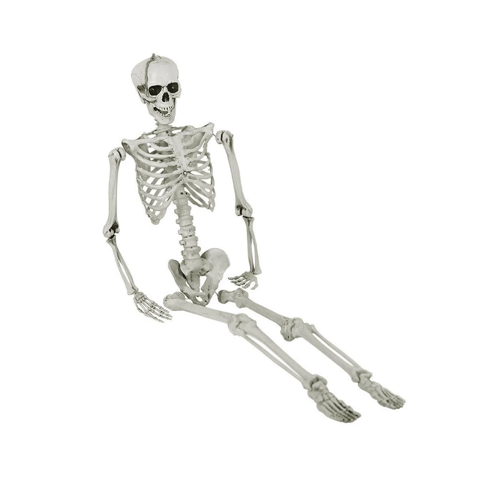 Halloween-Skeletons-Decoration-16-Full-Body-Realistic-Faux-Human ...