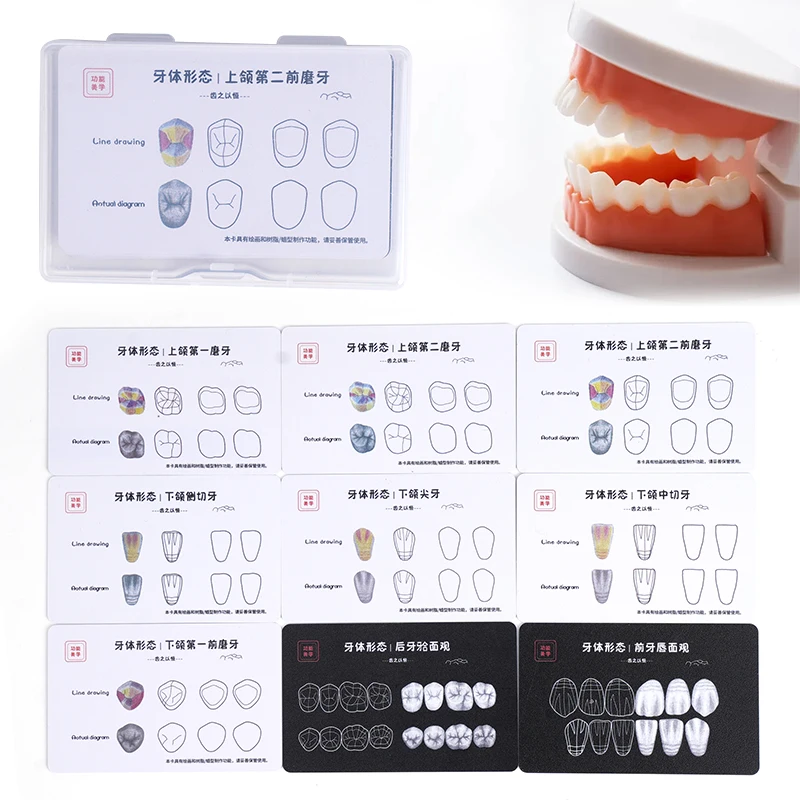 9pcs/box Dental Practice Board Model Composite Filling Teeth Template ...