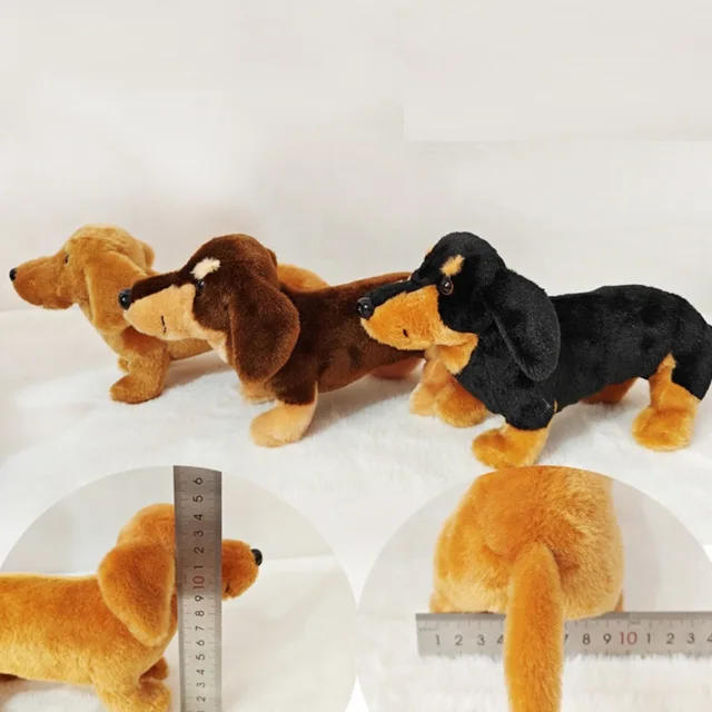 Twee Schattige Honden Kussen Aantrekkelijke Vrouw Omarmen, Twee