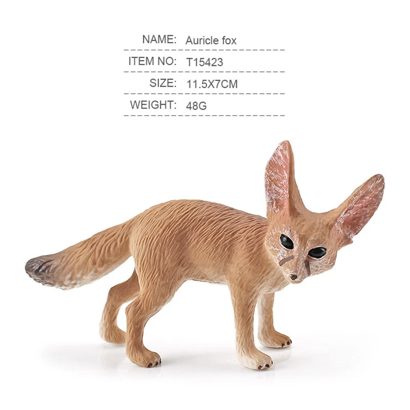Fennec Fox In The Wild
