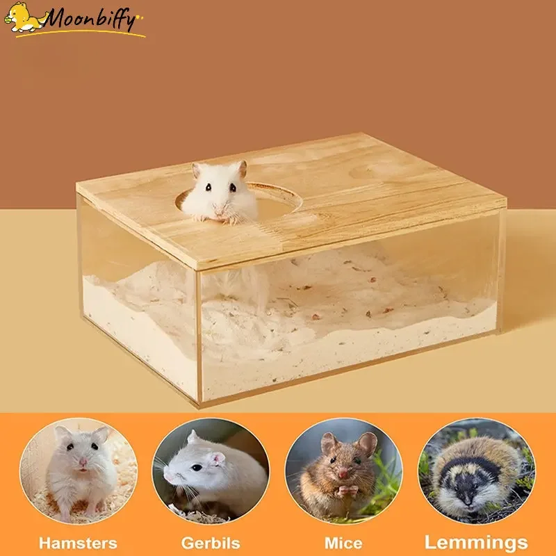Hamster Bathroom House Sandbox Full Transparent Urine Sand Basin Golden Bear Supplies Sand Bath ...
