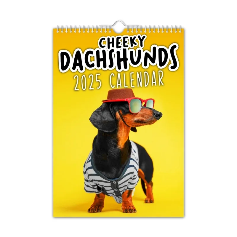 Cheeky Dachshunds - 2025 Wall Calendar Quirky Cute Wall Dachshund ...