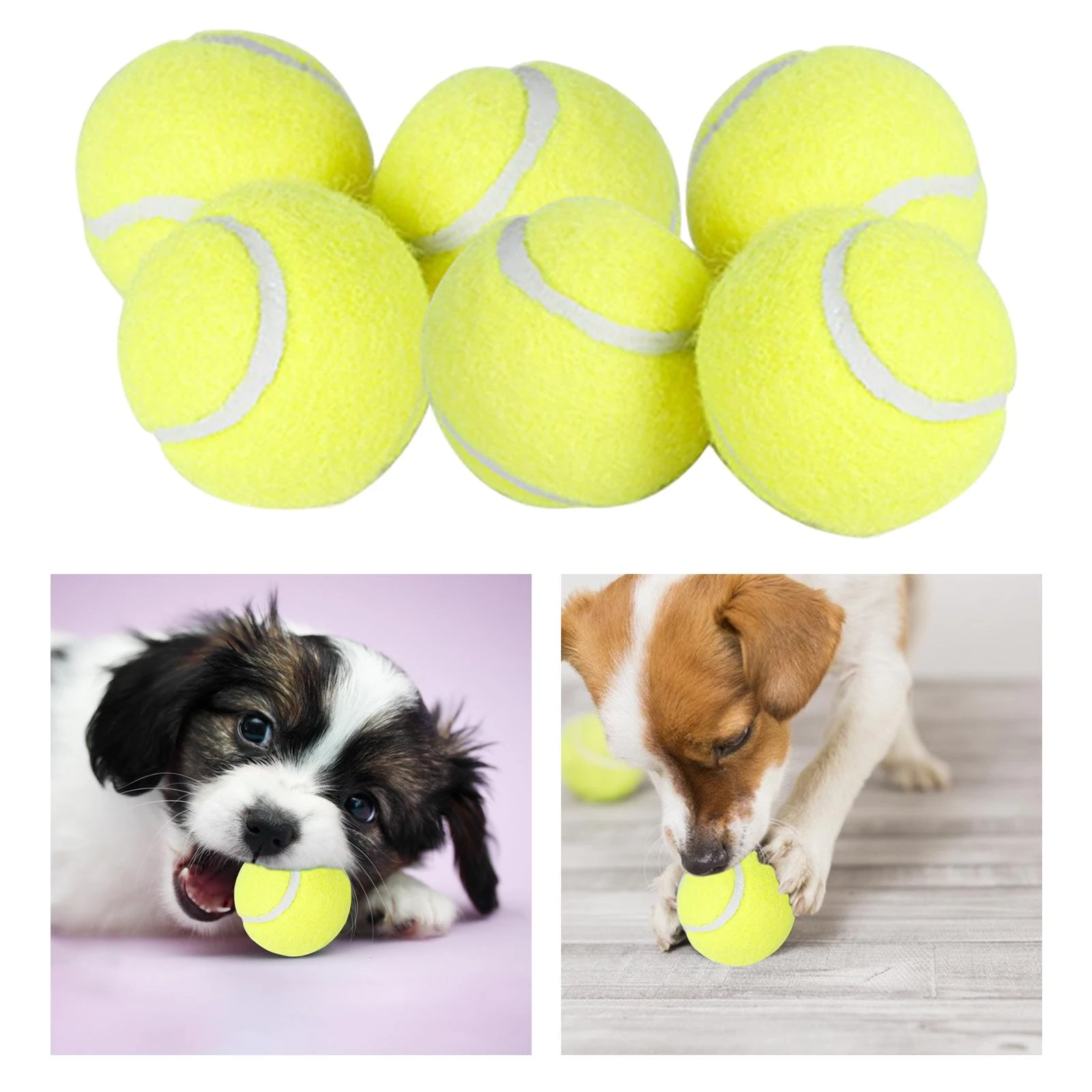 Why Do Dogs Chase Balls