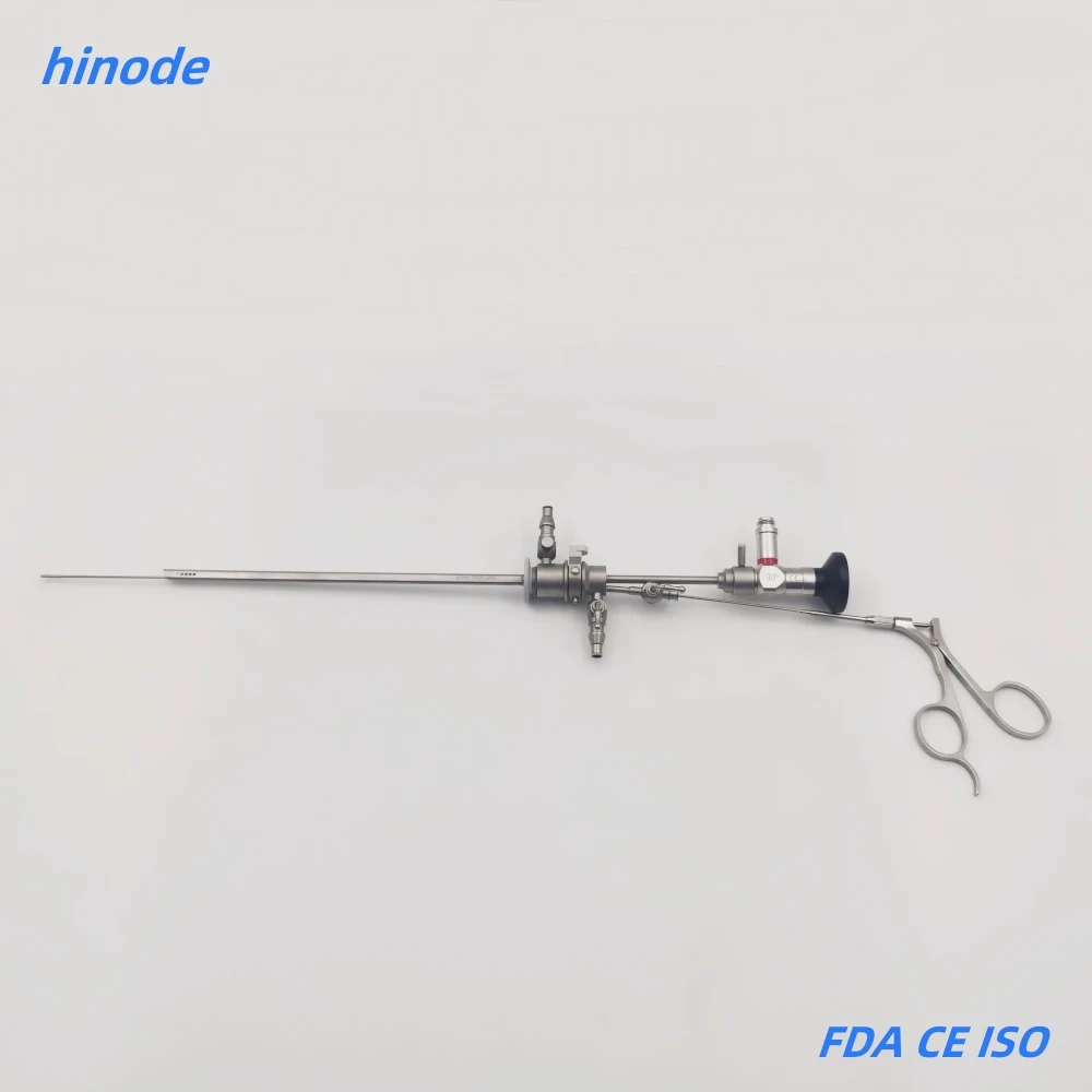 Store Home Products Getaway Deals Feedback