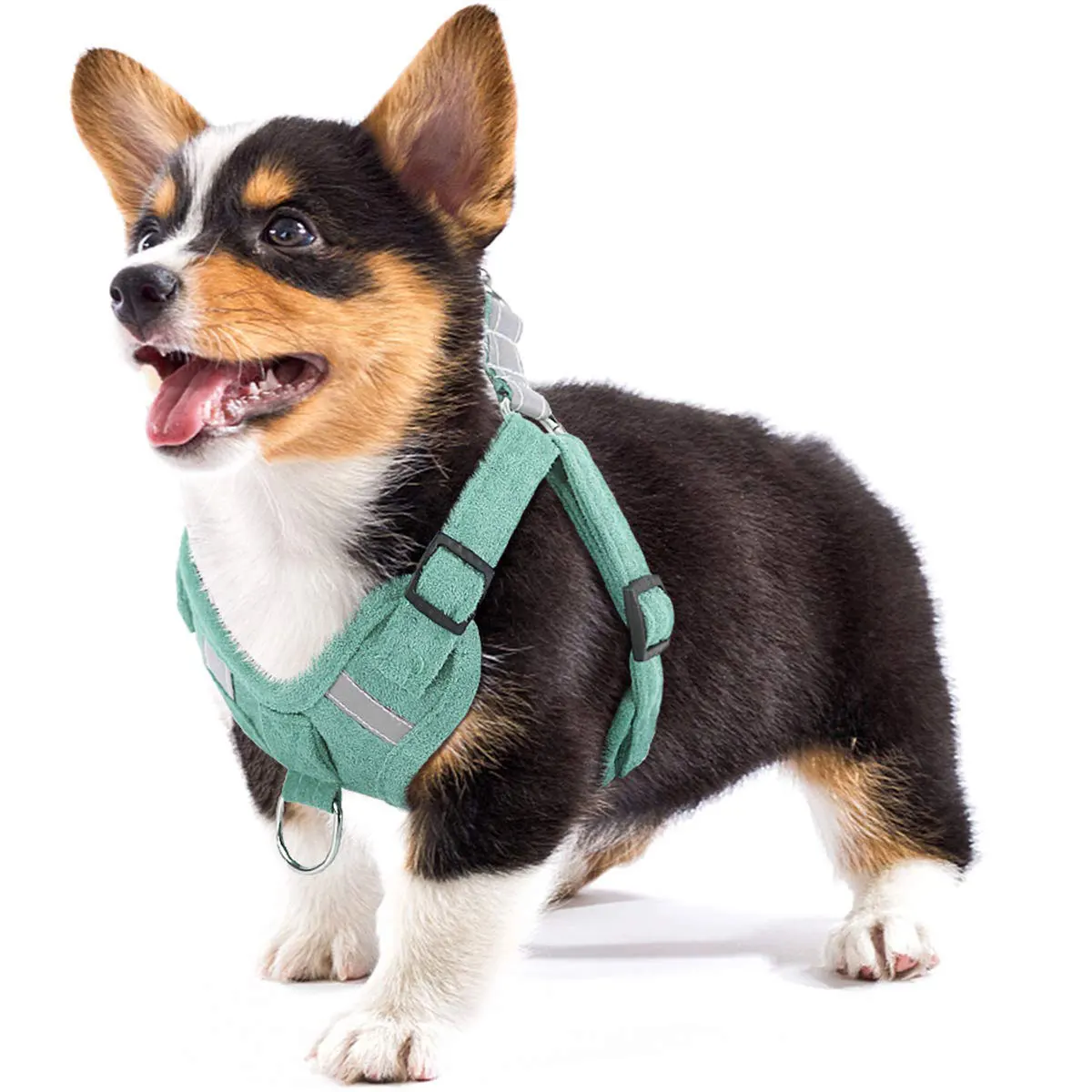 Adjustable-Dog-Harness-Breathable-Comfort-Harness-Dog-No-Pull ...