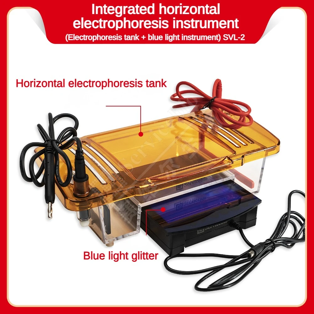 Integrated-Horizontal-Electrophoresis-Instrument-electrophoresis-Tank ...